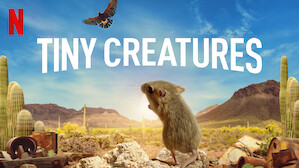 Nature & Ecology Documentaries | Netflix Official Site