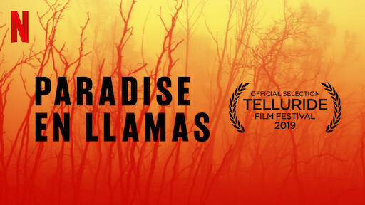 Los 13 atrapados: Cómo sobrevivimos en una cueva de Tailandia | Sitio ...