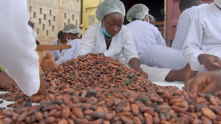 Rotten | Site oficial da Netflix