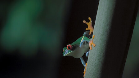 Watch Night on Earth | Netflix Official Site