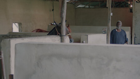 Watch The Plan | Netflix