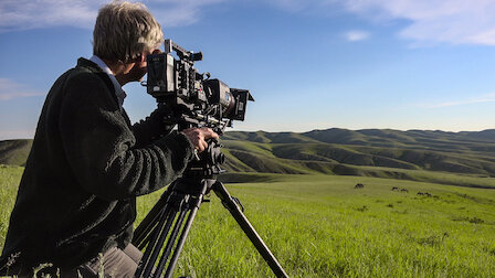 Watch Our Planet | Netflix Official Site