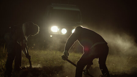 Watch Glitch | Netflix Official Site