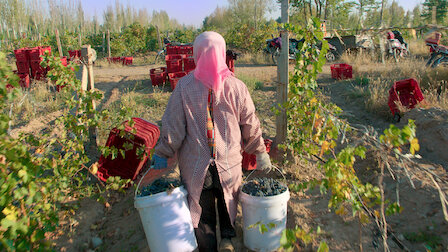 Rotten | Site oficial da Netflix