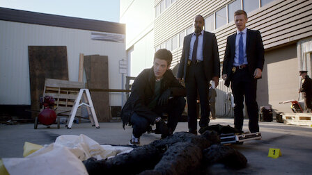 Watch The Flash | Netflix