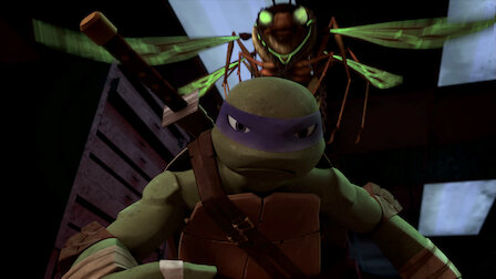 Watch Teenage Mutant Ninja Turtles | Netflix