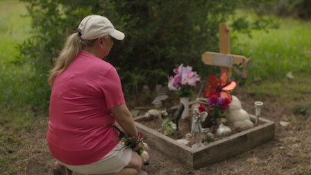 Watch Crime Scene: The Texas Killing Fields | Netflix Official Site
