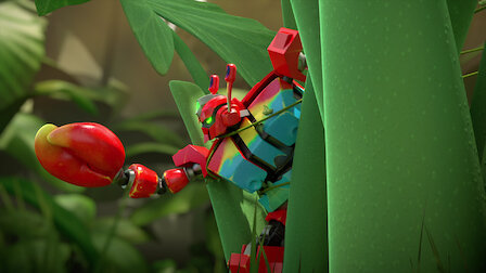 Watch Larva Island | Netflix Official Site