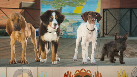 Watch Super PupZ | Netflix Official Site