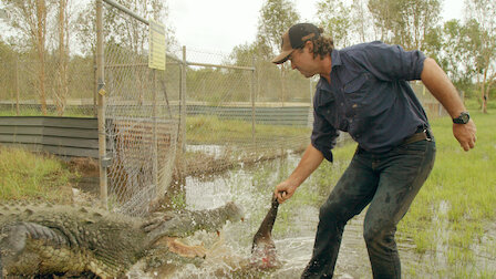 Watch Wild Croc Territory | Netflix Official Site